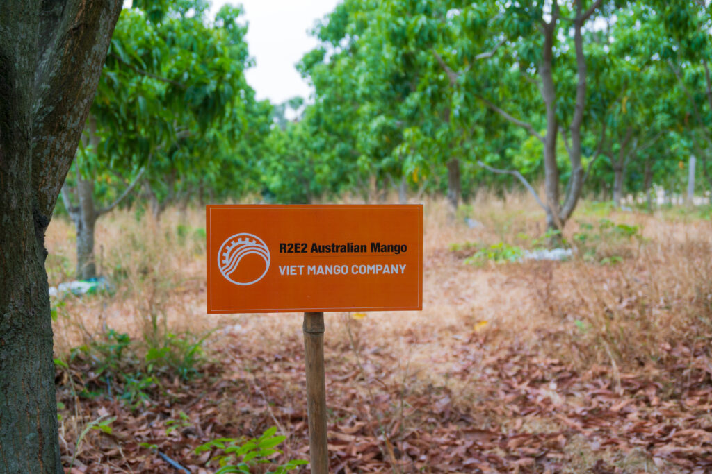 Mango Cultivation Area – CÔNG TY TNHH VIỆT MANGO